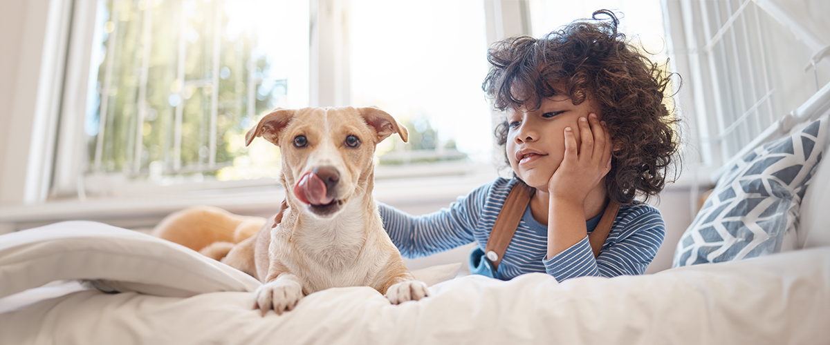 Helping Vermont Students Prepare For College | VSAC.org